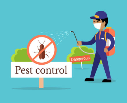 Pest Control Activities – Capstone Group